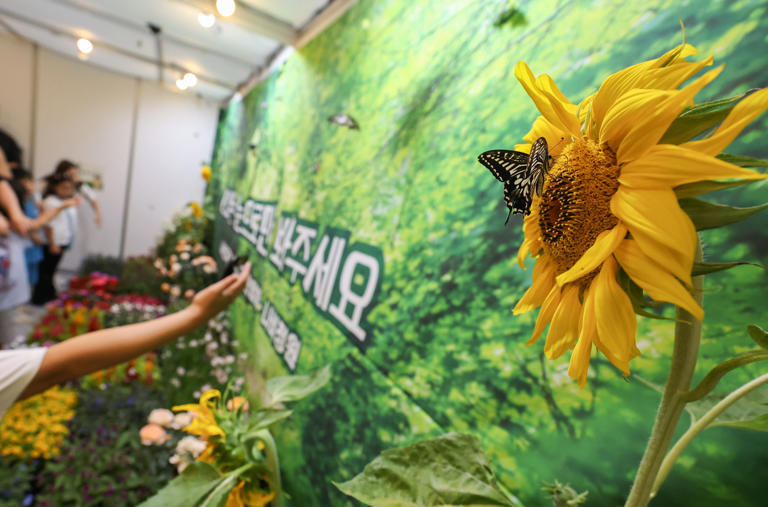 Insect event sparks safety concerns for exhibited creatures