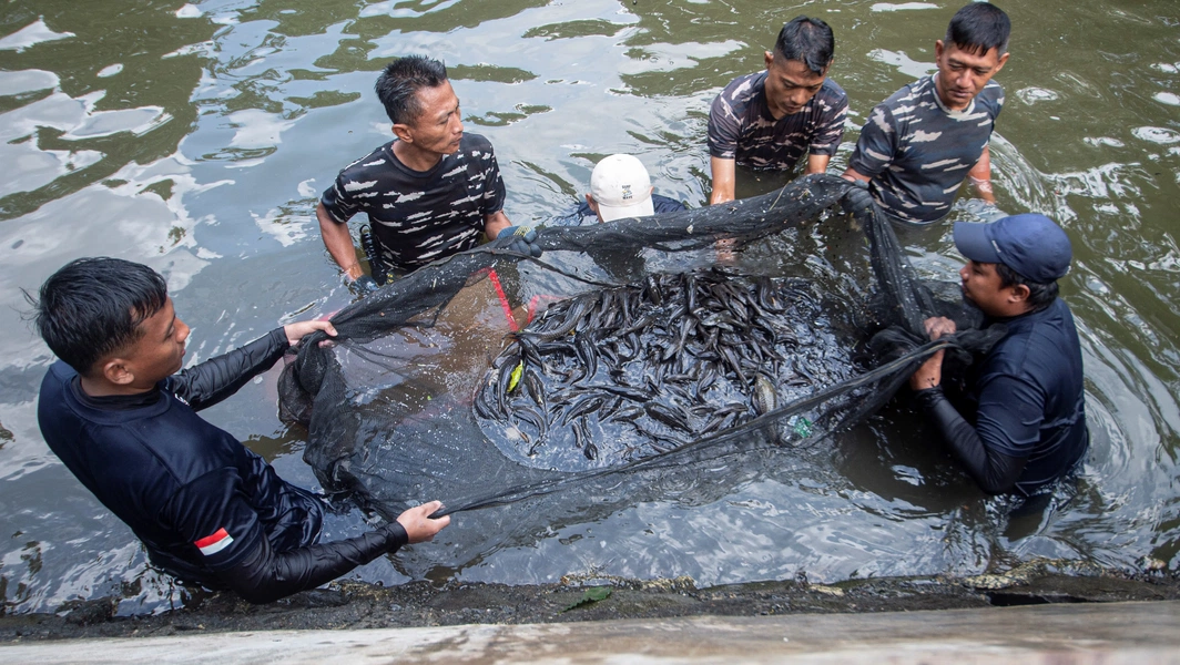 Invasive species impacting US ecosystems and economy