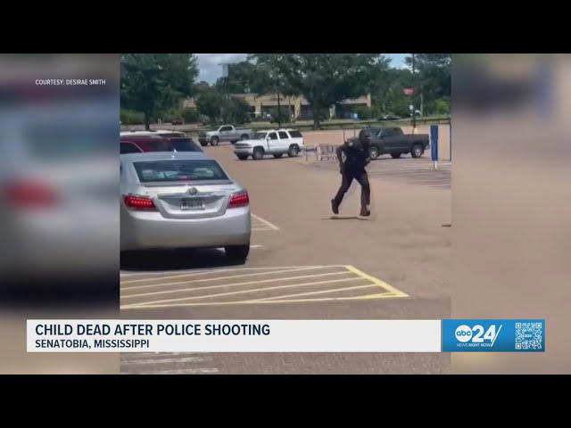 Toddler, 1, sitting in his car seat is shot dead by COP during wild ...