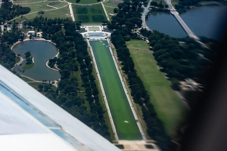 Trump's blue-bottomed reflecting pool turns green with algae