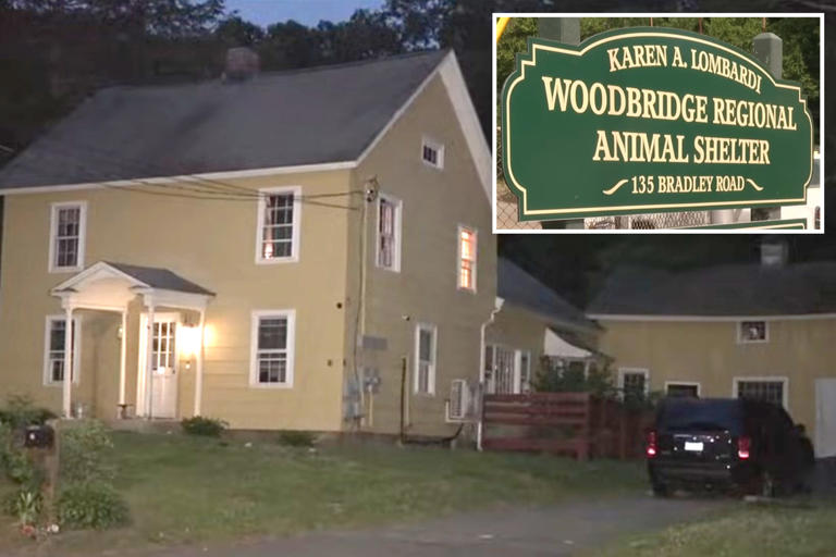 Nearly 30 animals, seven dead, found in 'small town' Connecticut home ...