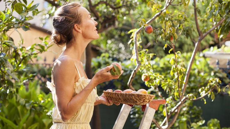 The absolute best time of the year to buy fresh peaches