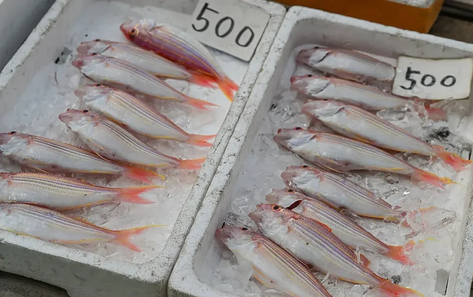 Fresh fish dinners you’ll crave every week