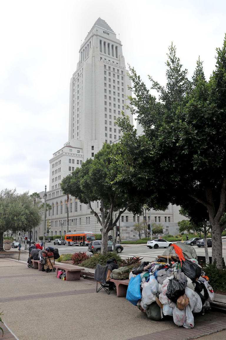 LA Zoo sees visitors disappear as city resists critical change that ...