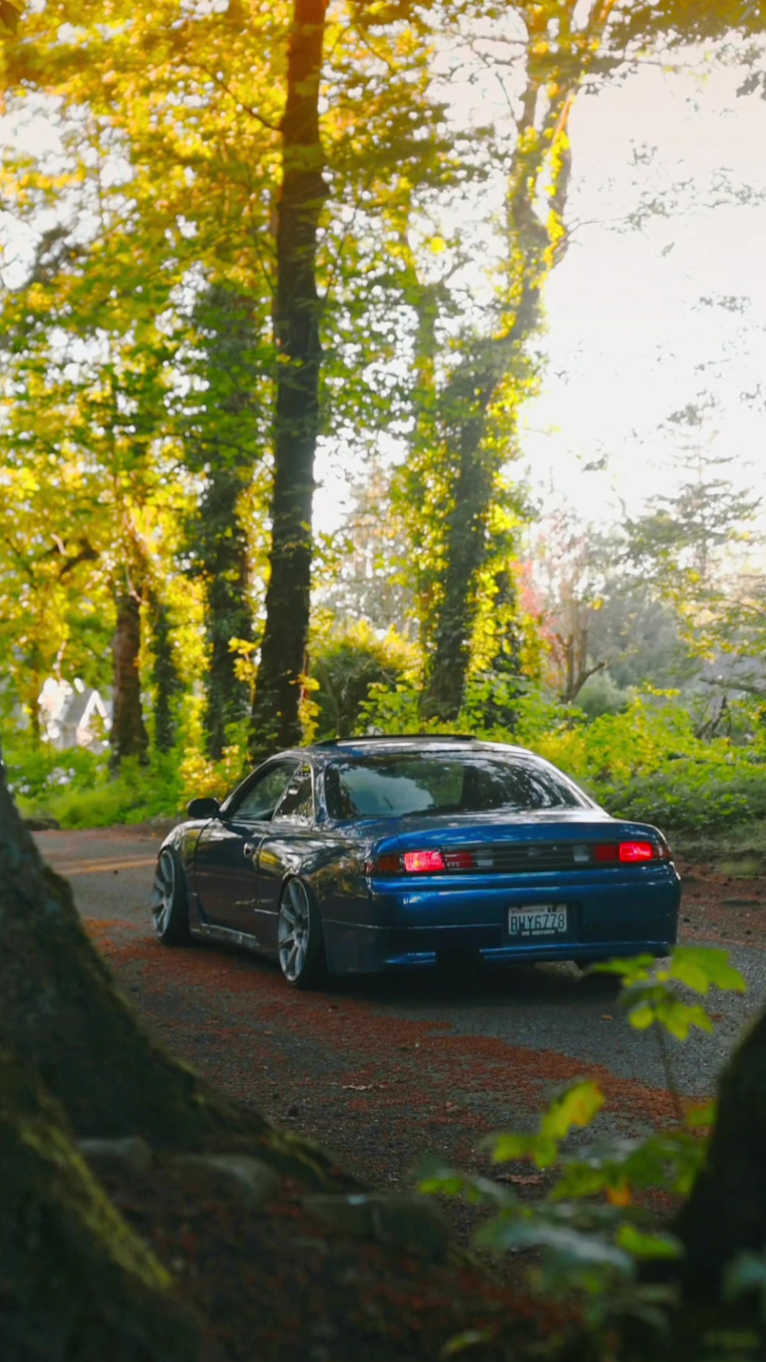 The calm beauty of a car parked on a woodland drive