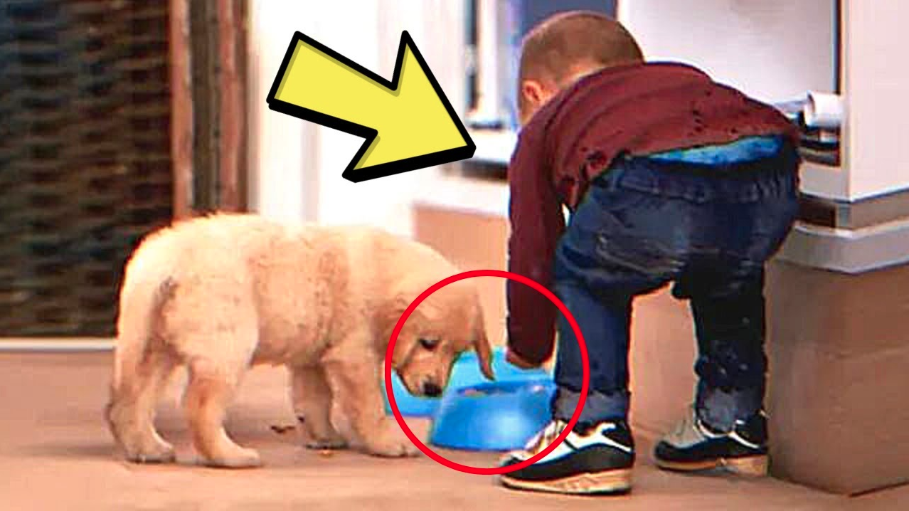 Girl questions boy about dog food and discovers the truth