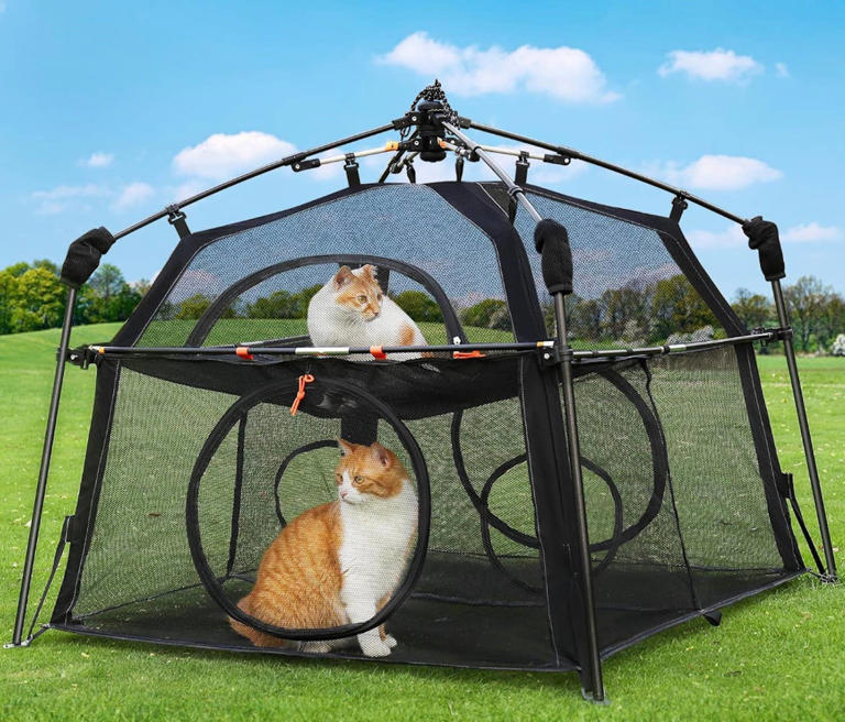 Amazon's clever 2-tier pop-up catio gives cats hours of safe outdoor fun