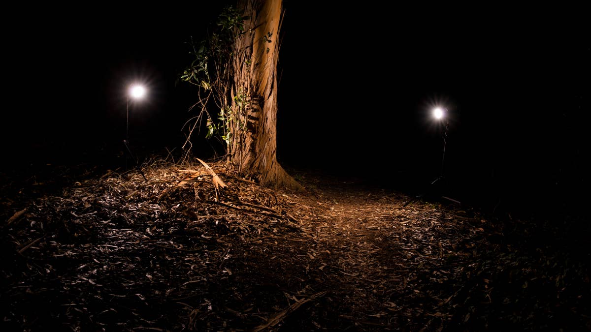Investigator identifies prime suspect in infamous 'Doodler' serial ...