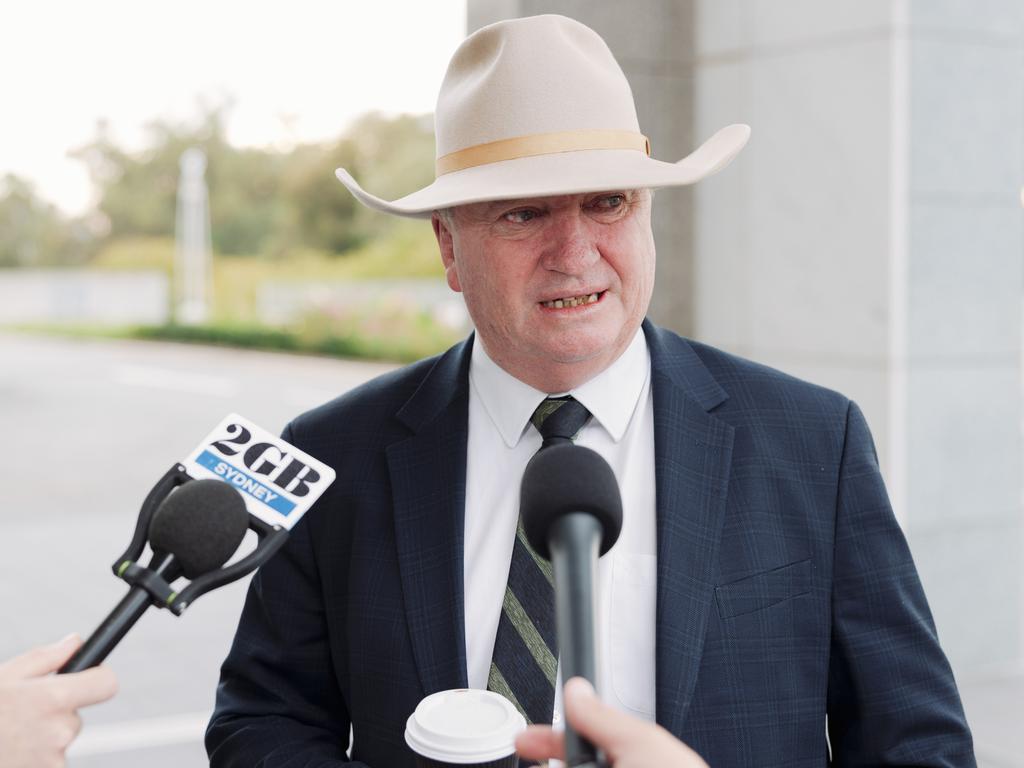 ‘Not unreasonable’: Barnaby confirms new One Nation role