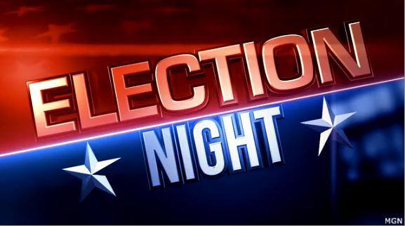 June primary and runoff election results