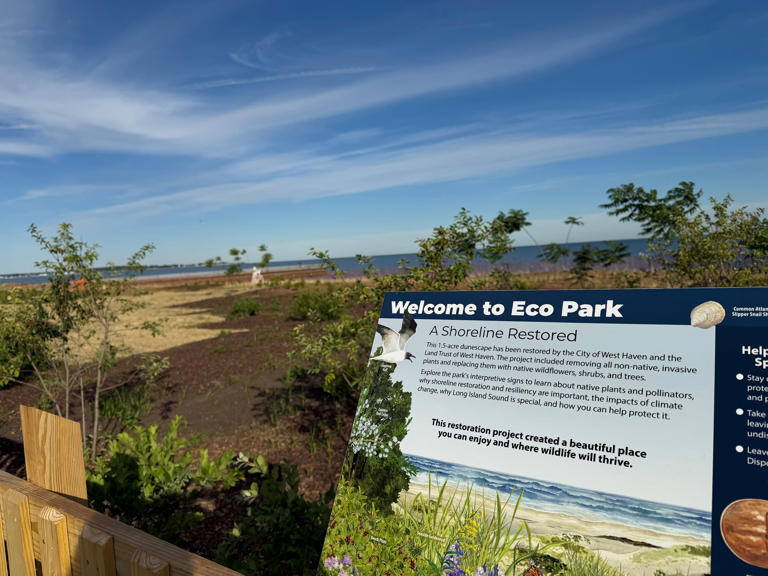 West Haven unveils restored piece of shoreline called Eco Park