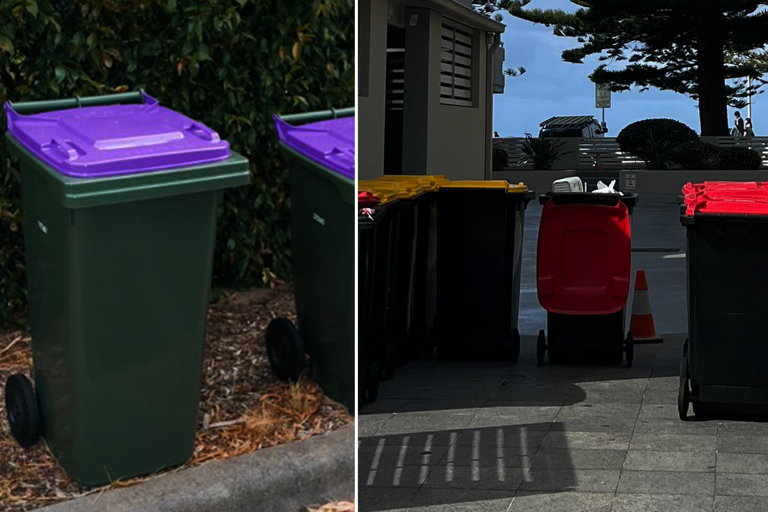 Aussie residents and councils battle against mandate for another bin ...