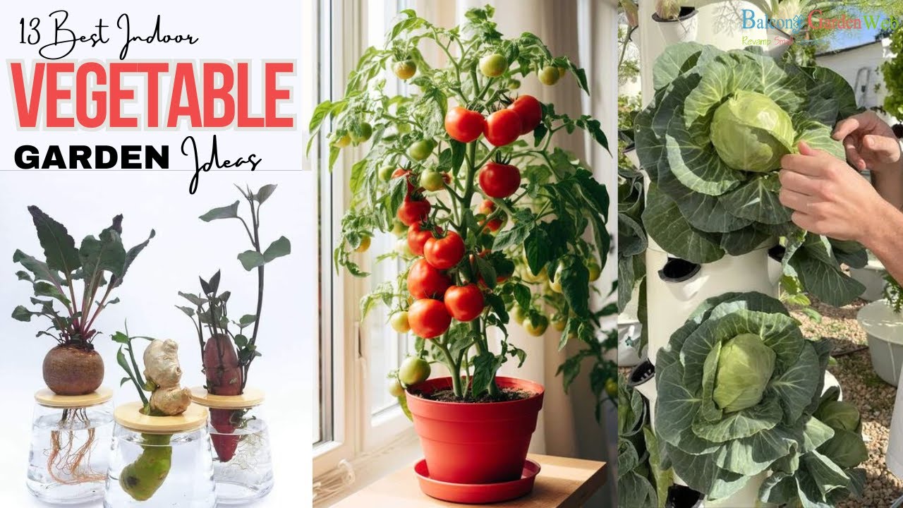 Best indoor vegetable gardens for fresh homegrown produce