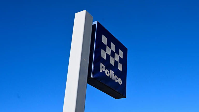 Woman allegedly snatched at knife-point in DV attack