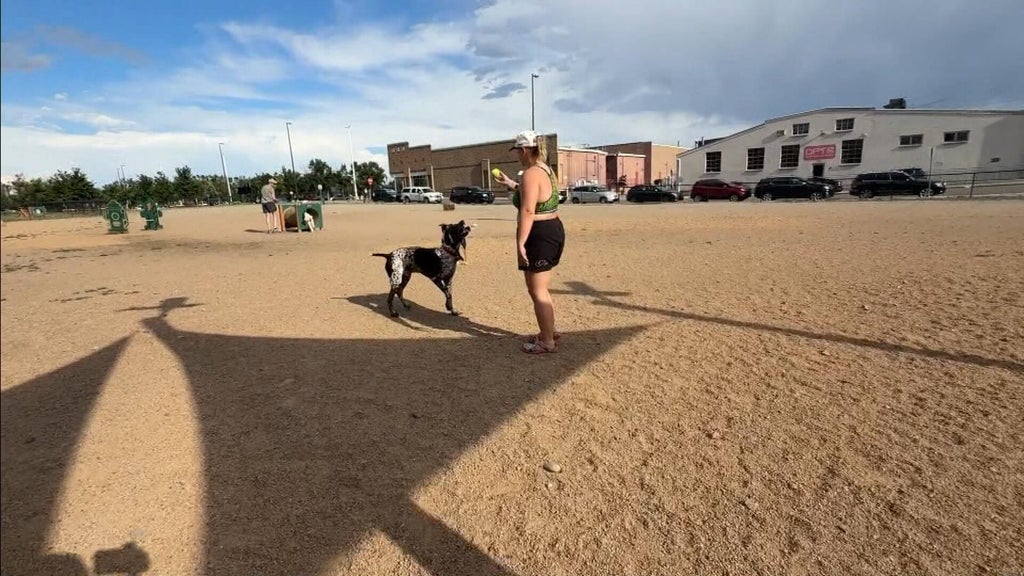 Popular Denver dog park could be forced to close because of a change in ...