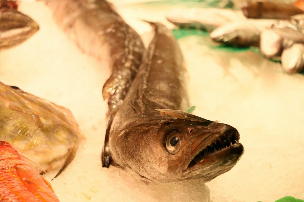 Meet the 'Frankenfish' that can survive out of water for days