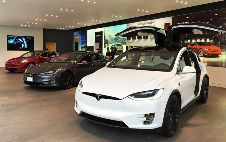 Tesla's universe: A deep dive into its cars and future