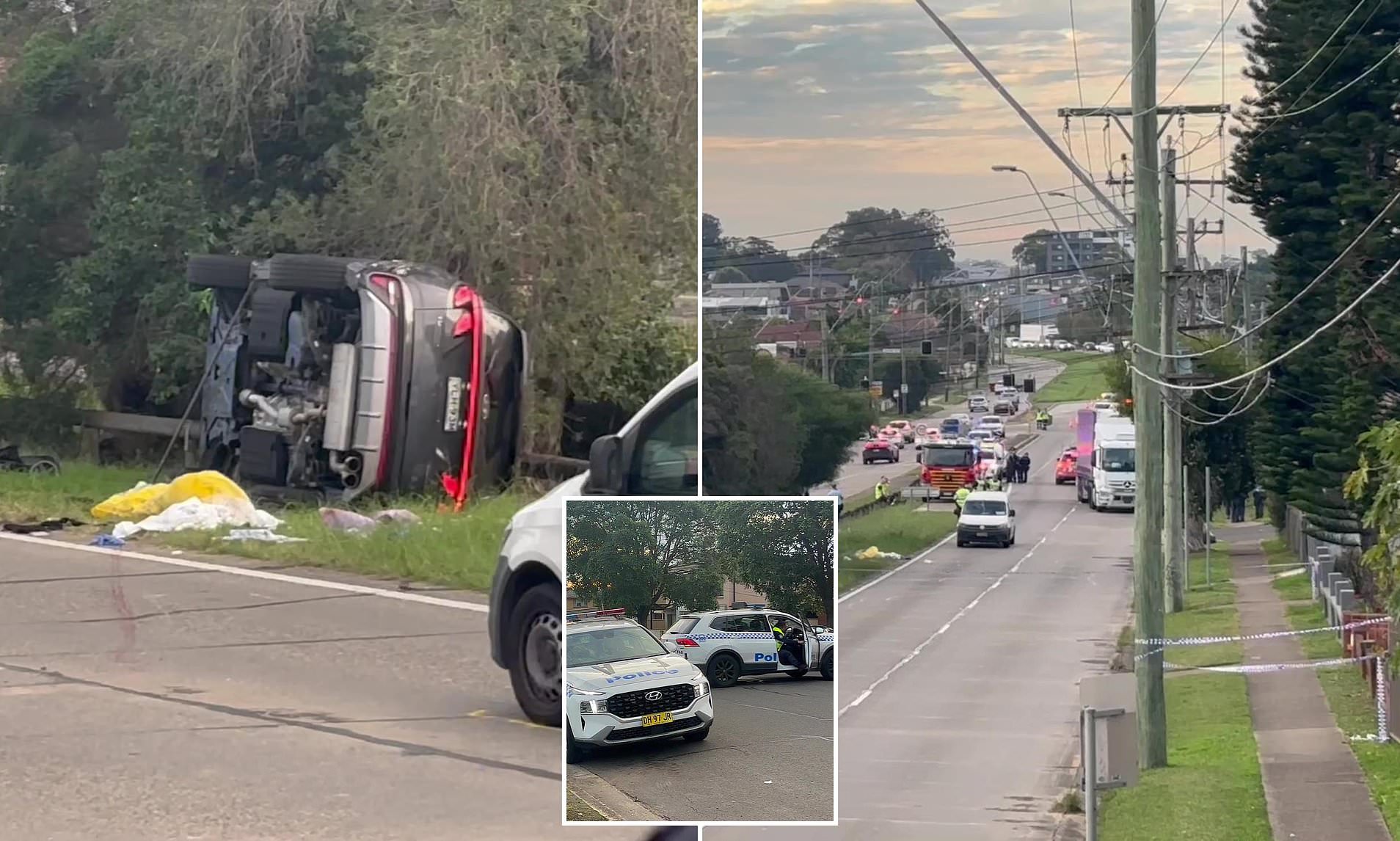 Bystanders' frantic rescue effort as two children, 1 and 5, are killed ...