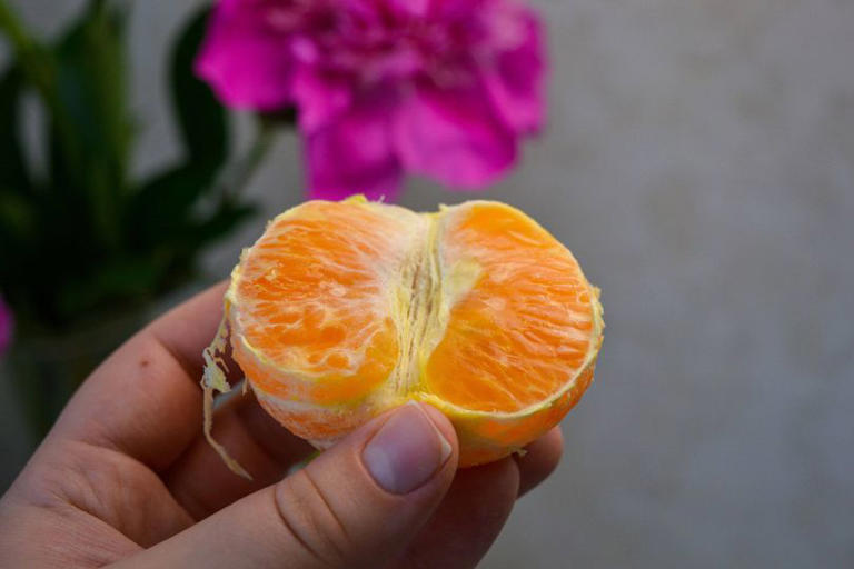 Oranges vs tangerines, satsumas, clementines and mandarins: What's the ...