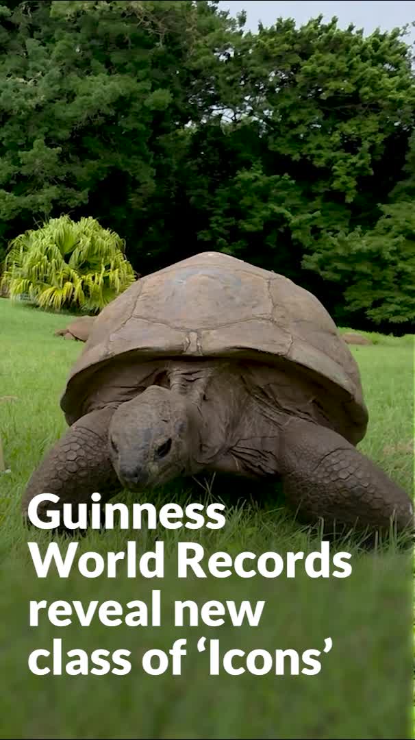 Guinness World Records reveal new class of 'icons'
