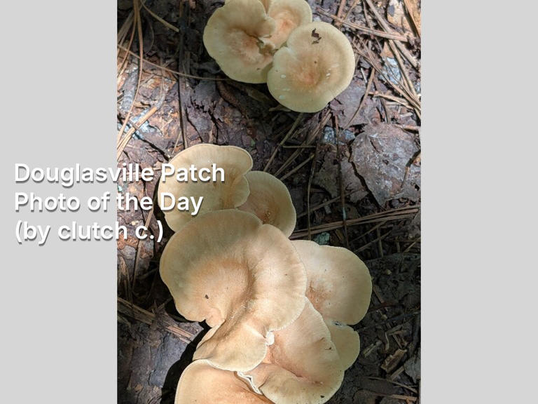 🌱 Patch AM: Two charged after body found in Douglasville’s Dog River ...