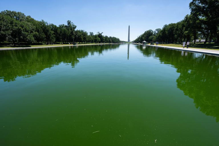 Fox News host makes Lincoln Memorial Reflecting Pool blunder amid Trump ...