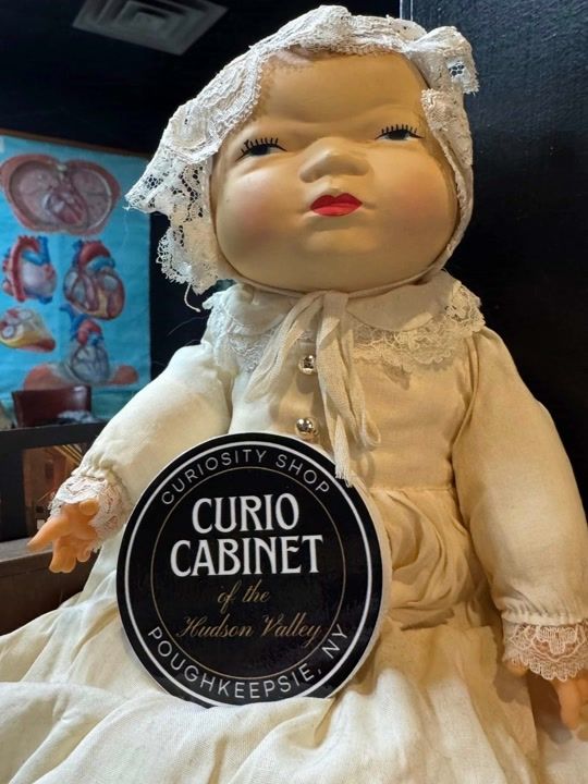 Where's Agnes? Poughkeepsie oddities shop accidentally sells mascot doll