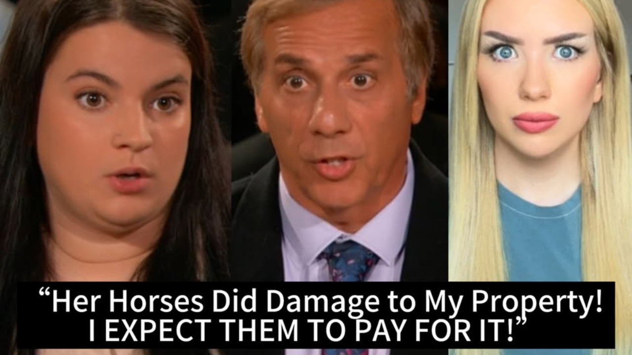 Man ruins his own property damage case over horses