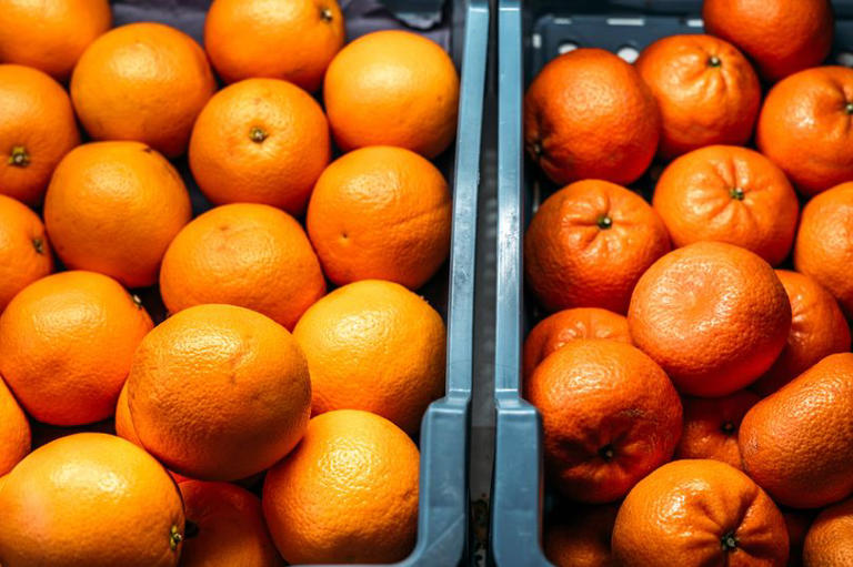 Oranges vs tangerines, satsumas, clementines and mandarins: What's the ...