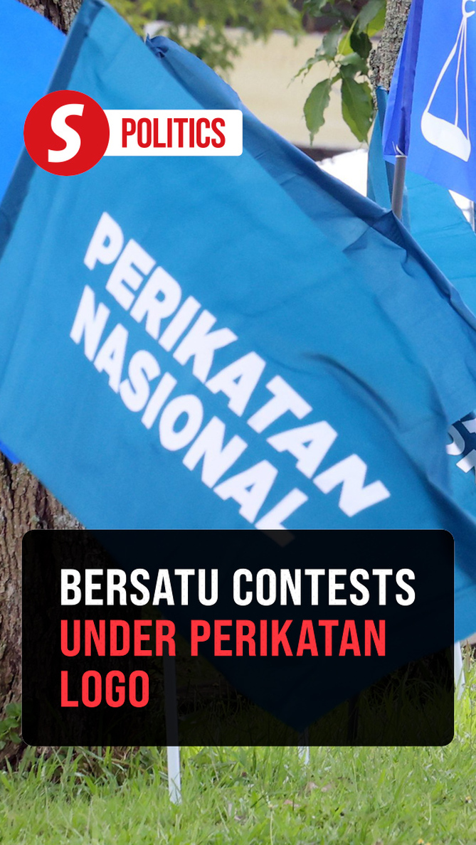 Bersatu to contest Negri, Johor polls under Perikatan logo