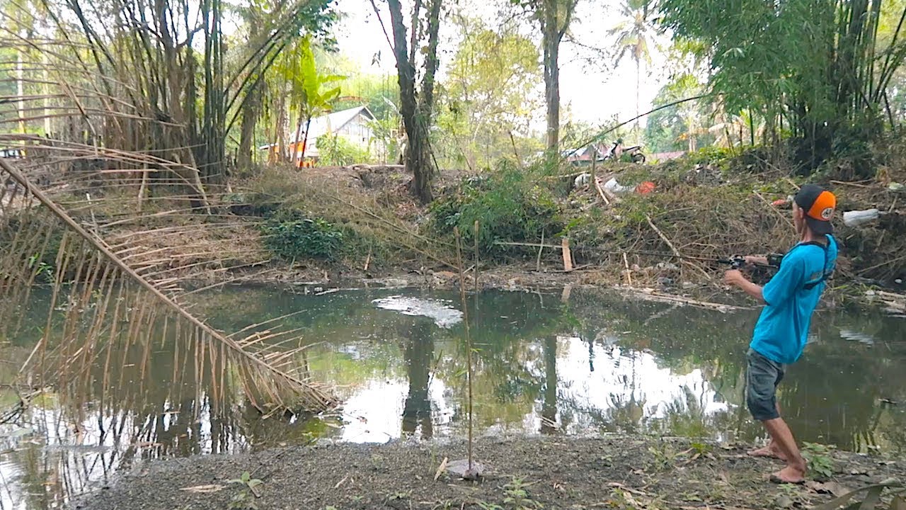 Pancing diseret penghuni misterius dari pohon bambu