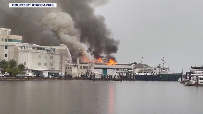 USF marine science research destroyed in St. Pete lab fire caused by ...