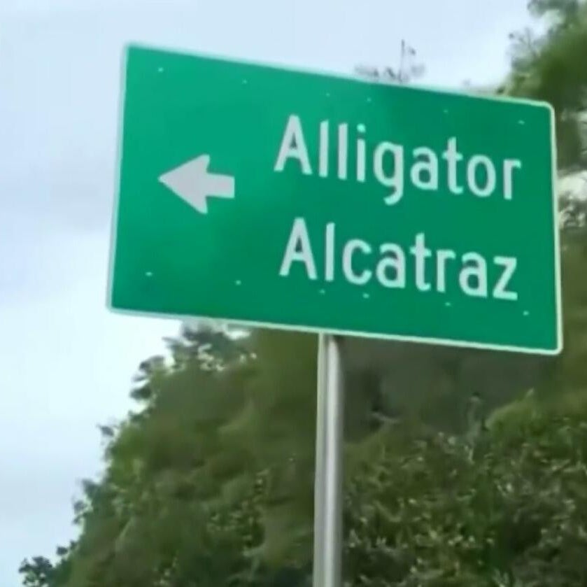 Detainees moved out of 'Alligator Alcatraz' over hurricane concerns ...