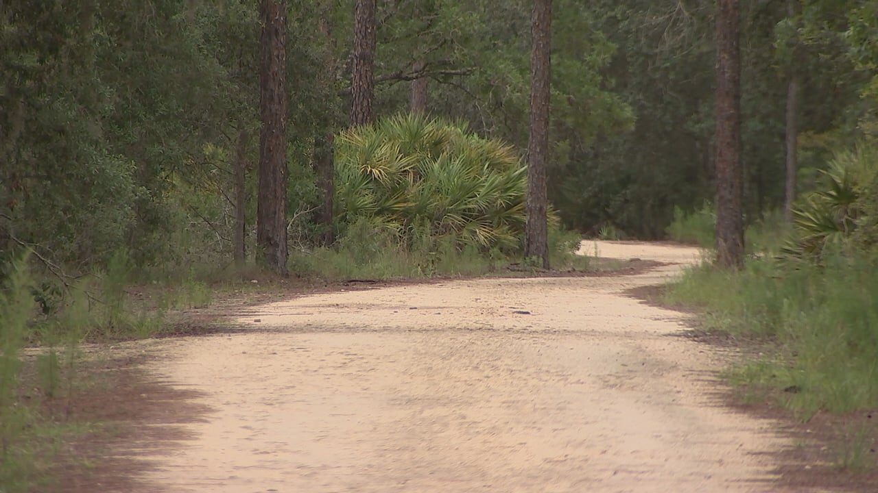 Neighbor reacts after woman was grabbed by man in Jennings State Forest