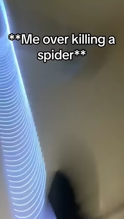 Me overkilling a spider 🤨🕷️💀 bringing out full tactical gear for a tiny ...