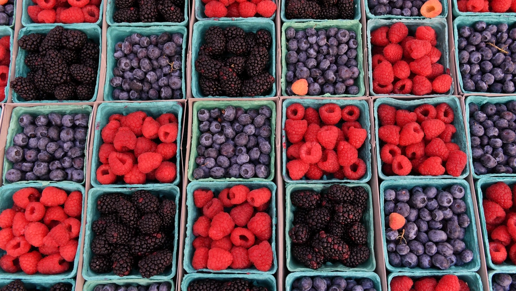 Nutritional and health benefits of popular berries