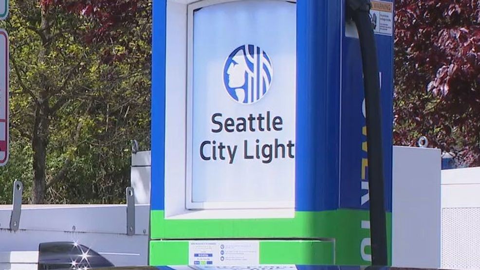 Seattle City Light crews respond after tree knocks out power for ...
