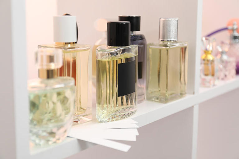 Scent is memory wearing invisible clothes