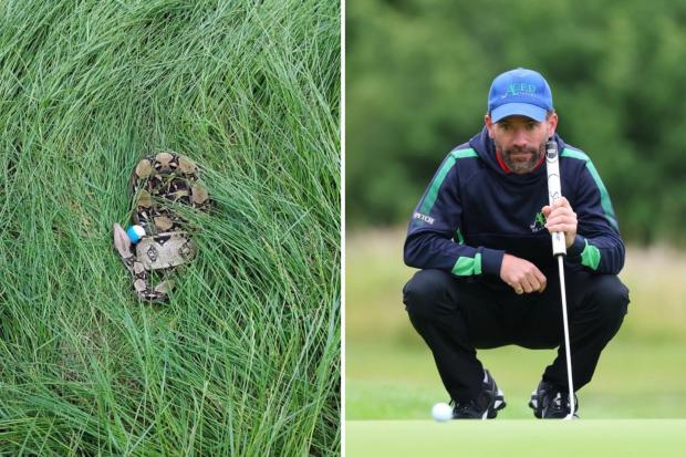 Darlington golfers left in shock after ball lands near 6ft snake on the ...