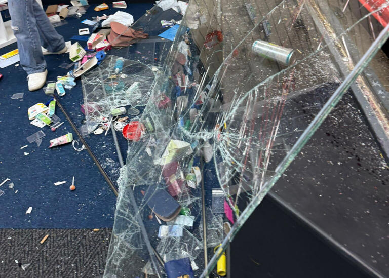 ‘They smashed their way inside and wiped us out’ - Owner of Belfast ...