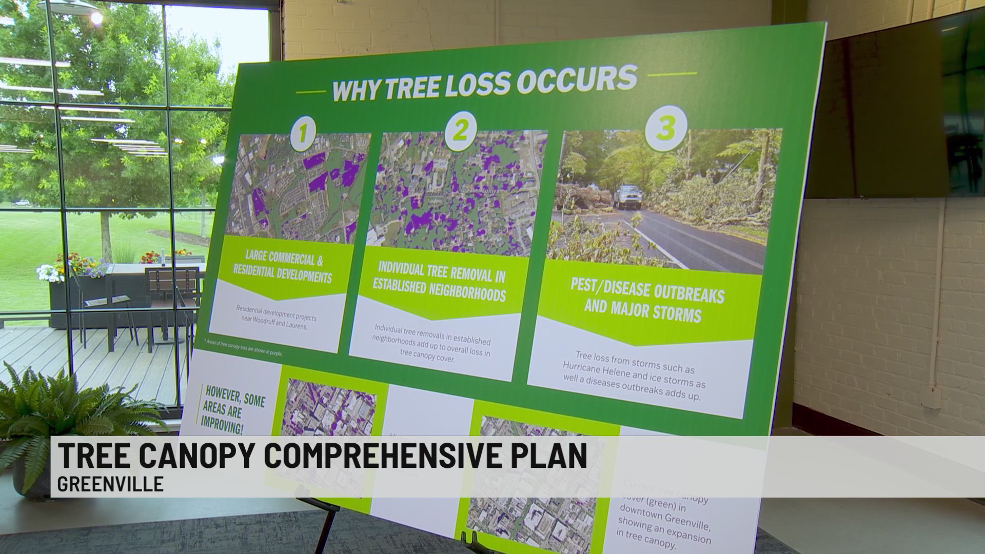 Greenville residents share thoughts on Tree Canopy Comprehensive Plan