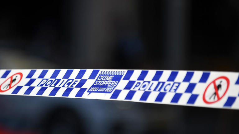 Woman allegedly snatched at knife-point in DV attack