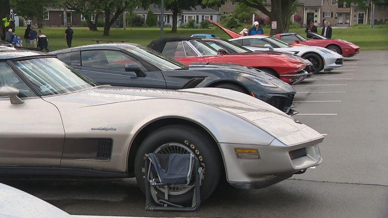 Gallery: Monroe Community Hospital classic car show