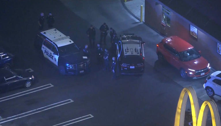 Hit-and-run rampage through LA leaves 5 injured, including police officer