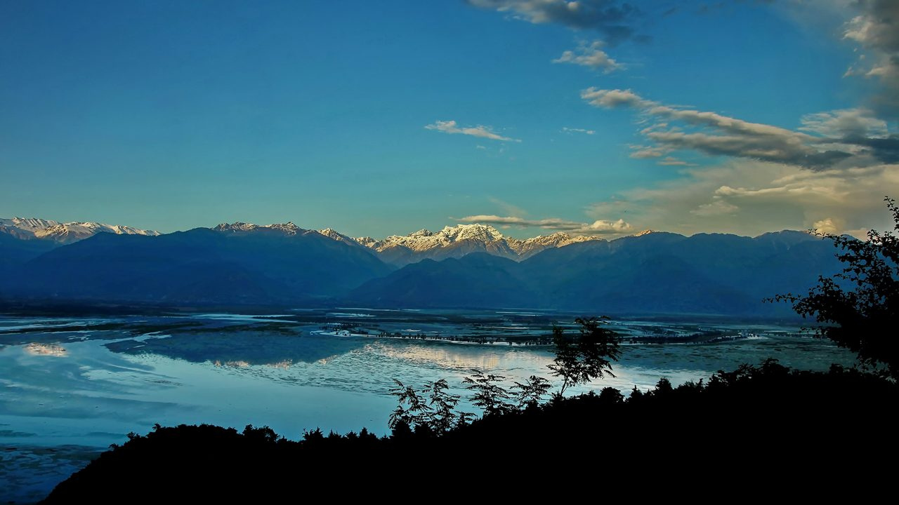 After 30 years, pink lotuses bloom again at this iconic lake in Kashmir