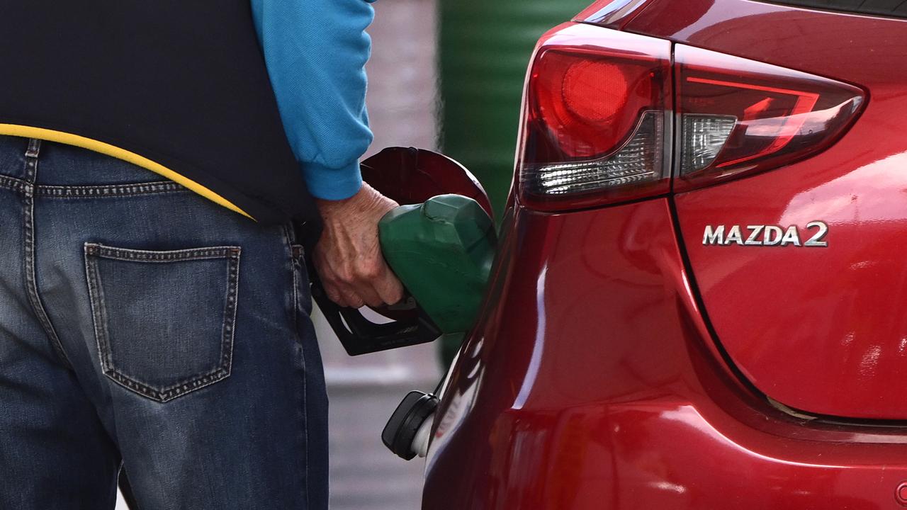 'Dig baby dig': Hanson pumps up domestic fuel industry