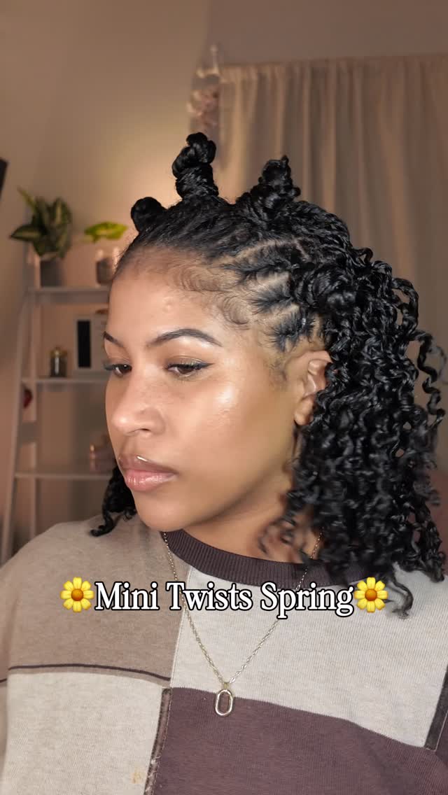 Spring mini twists natural hair transformation