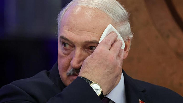 Loukachenko s'excuse auprès de Zelensky... mais le qualifie de « jeune ...