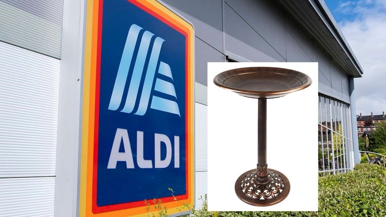 The Aldi weekly ad drops fun 'rich grandma' decor starting at $4.99