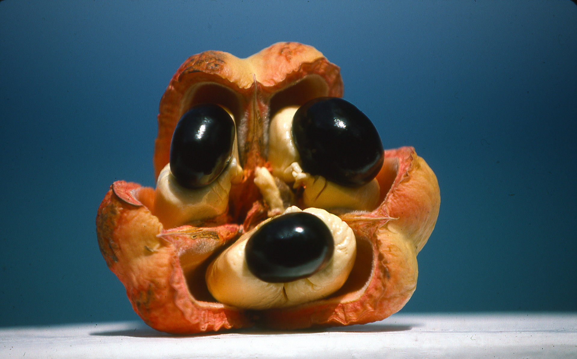 The oddest-looking fruits and vegetables
